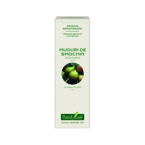 Extract Concentrat Din Muguri De Smochin FICUS CARICA PlantExtrakt