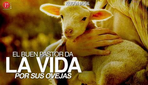 Jesus Pastor De Ovejas