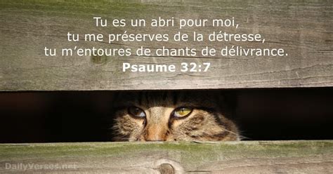20 décembre 2023 Verset Biblique du Jour Psaume 32 7 DailyVerses net