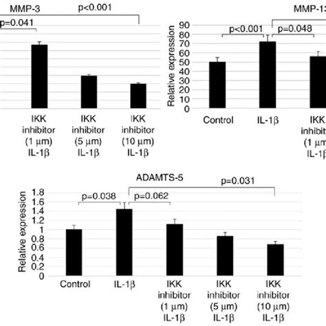 Levels Of Mmp Mmp And Adamts Mrna Following Il Stimulation