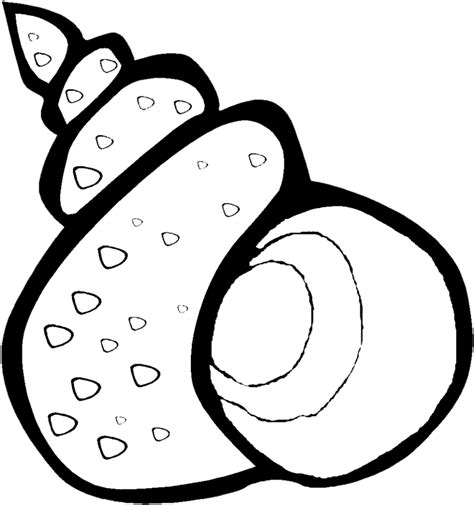 Conchiglie Disegni Da Colorare Disegni Da Colorare E Stampare