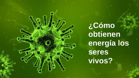 Cómo obtienen energía los seres vivos by Jorge Glemaud on Prezi