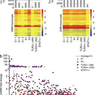 Genome Wide Transcriptional Evaluation Of The TLR3 Pathway In Primary