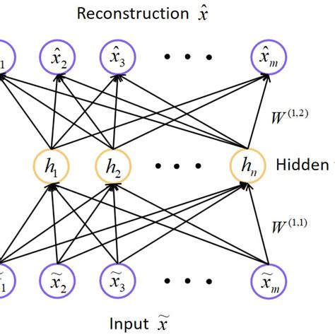 illustration of architecture of basic denoising autoencoder dae with download scientific