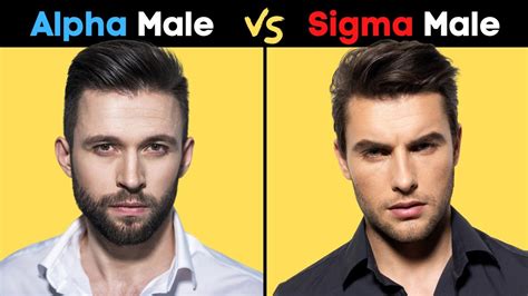 Sigma Male Vs Alpha Male The Differences Youtube