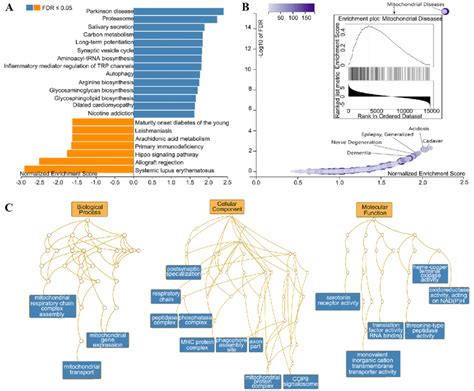 Gene Functional Enrichment Analysis A Significant Results Of KEGG
