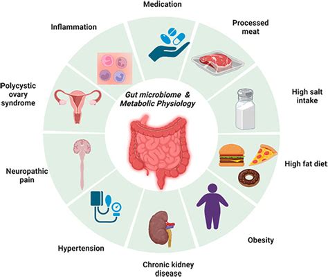 Frontiers Editorial Gut Microbiome And Metabolic Physiology