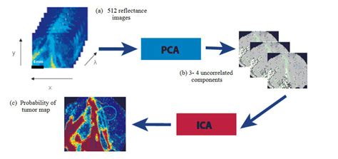 ica pca analysis process on the reflectance images 2 2 4 solving download scientific diagram