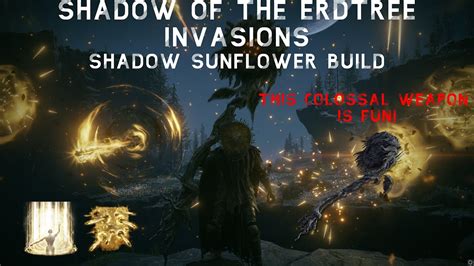 Elden Ring Dlc Pvp Invasions Shadow Sunflower Holy Build Youtube