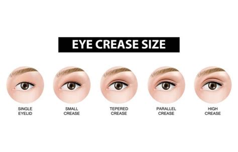 Makeup For Hooded Eyes Diagram Saubhaya Makeup