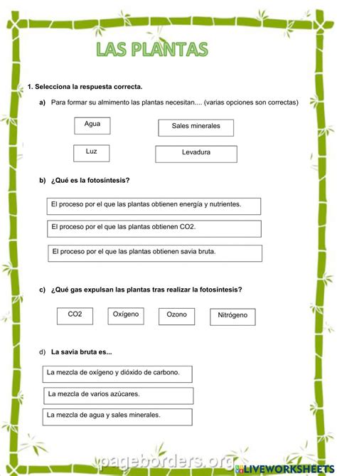 Ejercicio pdf online de La fotosíntesis para 4º de Primaria Ciencias
