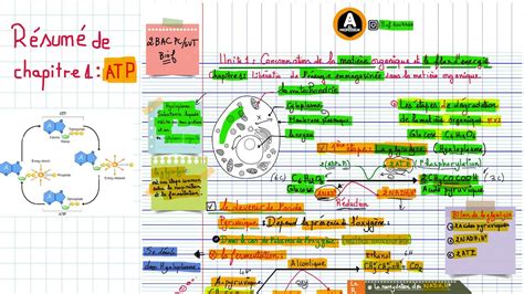 Résume de chapitre 1 libération de l énergie emmagasinée dans la