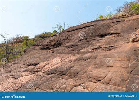 Piedra De Escala De Serpiente Gigante De La Cueva De Naka En El Parque