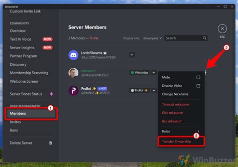 C Mo Transferir La Propiedad En Los Servidores De Discord All Things