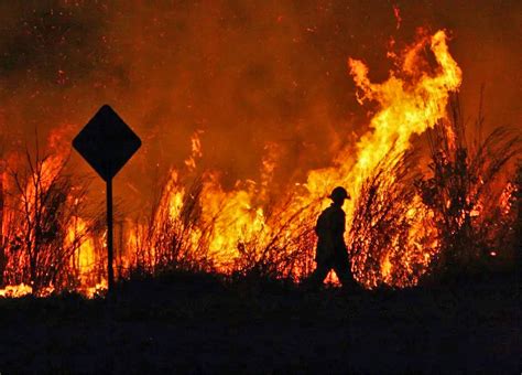 Leyes De Bosques De Glaciares Y De Quema Afuera Milei Impulsa Una