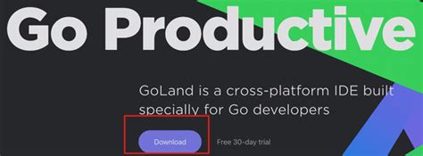 go语言开发环境搭建：goland安装教程
