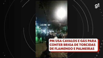 Vídeos mostram torcedora do Palmeiras após ser atingida por garrafa de