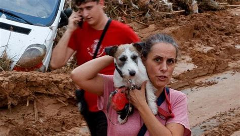 La Corsa Contro Il Tempo Per Salvare I Cani Di Valencia Centinaia I
