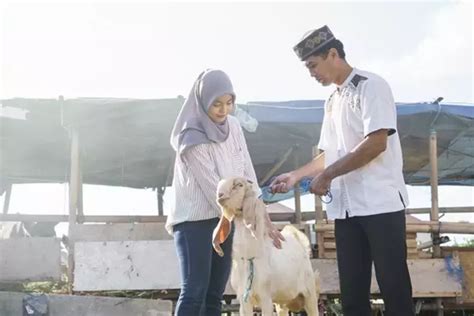 Doa Menyembelih Hewan Kurban Untuk Hari Raya Idul Adha Ninna Id