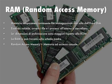 RAM ROM By Walter Scitta