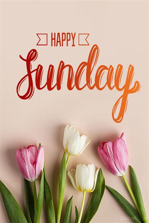 Happy Sunday Wishes Messages And Quotes Artofit