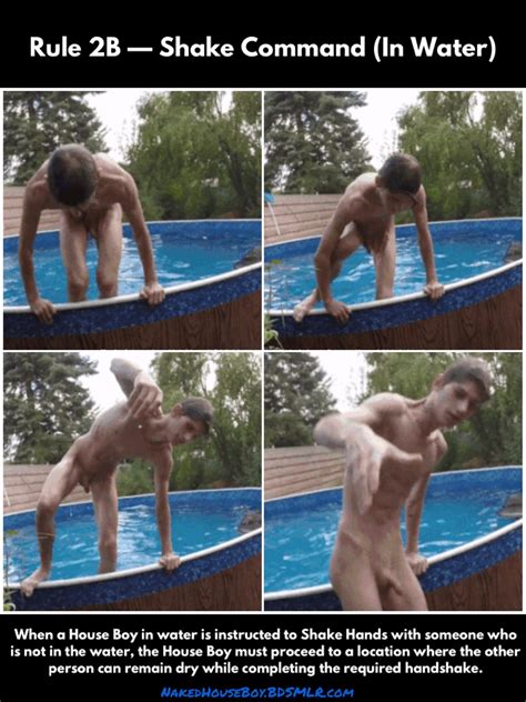 Naked Houseboy Rules