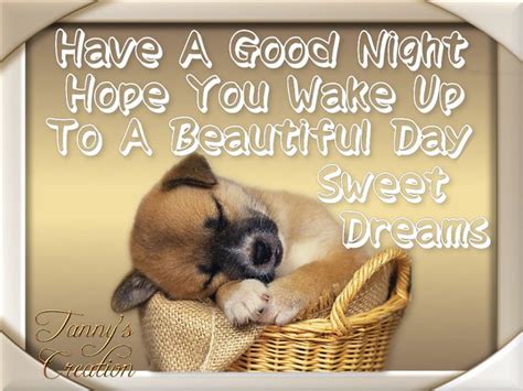 Pin By Elizabeth Sondrol On Good Night Good Night Friends Good Night