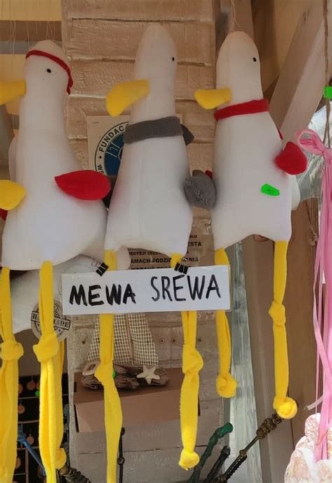 Gęś Pipa znalazła nową koleżankę Demotywatory pl