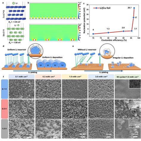 Nucleation Potentials Morphology And Schematic Illustration Of Li