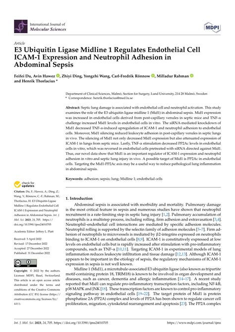 Pdf E Ubiquitin Ligase Midline Regulates Endothelial Cell Icam