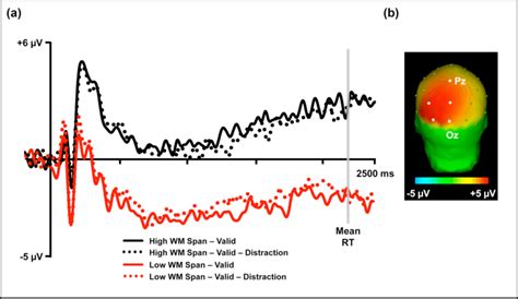 modulation of the neural correlates of visuospatial working memory download scientific diagram