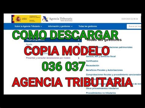 Guía rápida para descargar el modelo 036 sin complicaciones Modelo
