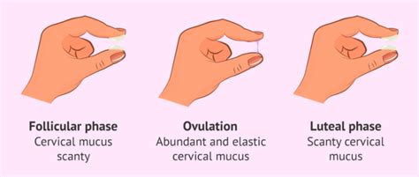 What Causes Changes In Vaginal Discharge