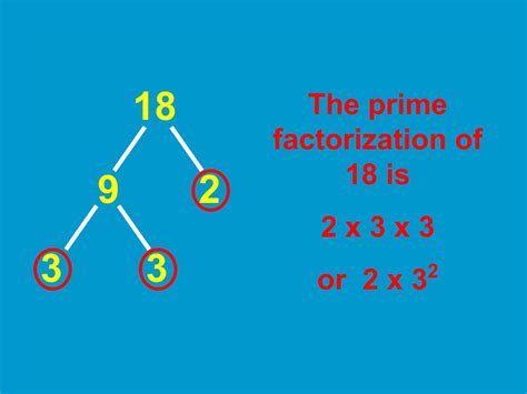 prime factorization