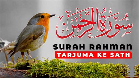 Surah Rahman Tilawat Urdu Tarjuma Full Episode Qari Al Sheikh