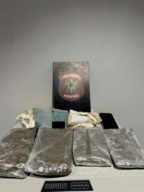 PF prende mulher por tráfico de drogas em PE Polícia Federal