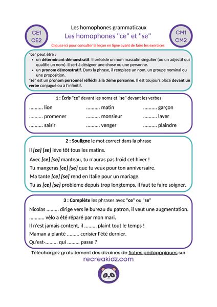 Exercices Les Homophones Grammaticaux CE1 CE2 CM1 CM2 à imprimer