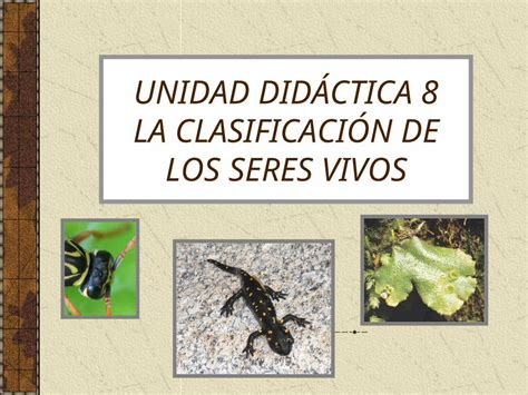 PPT La clasificación de los seres vivos PDFSLIDE NET