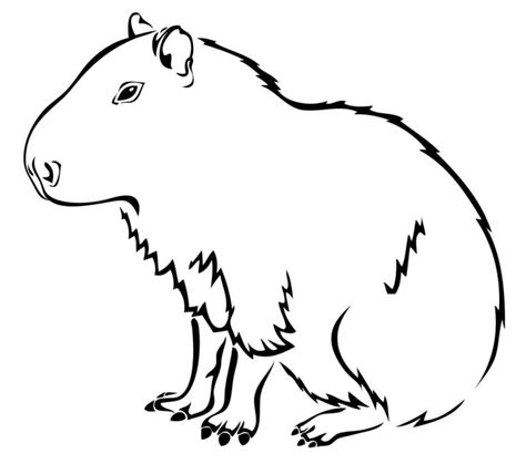 Dibujos De Carpincho Para Colorear Im Genes Para Colorear
