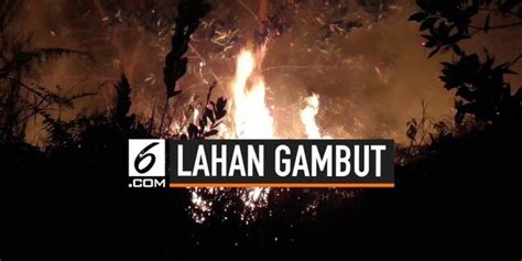 Video Puluhan Hektare Lahan Gambut Di Palangka Raya Terbakar Enamplus