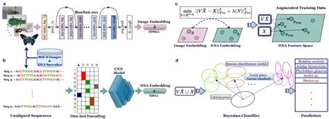 deep open set bayesian classification with unknown and undescribed download scientific diagram