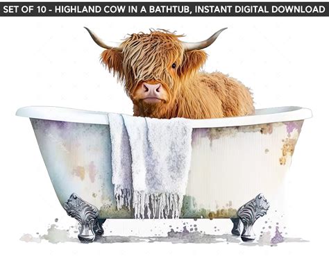 Funny Highland Cow Wall Art In Bathtub Get Naked Canvas 44 OFF
