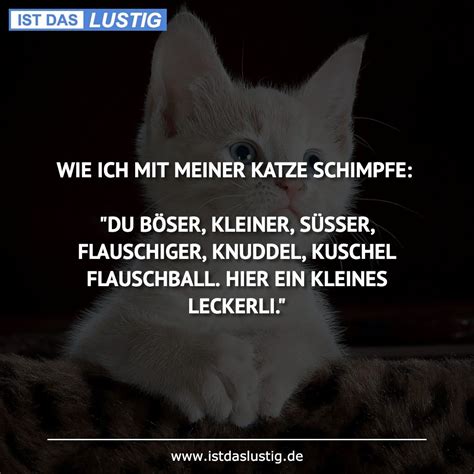Pin von Carmen Fröhlich auf Katzen Lustige zitate und sprüche Zitate