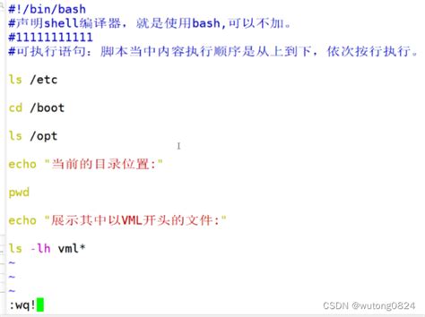 shell编程规范与变量 cshell脚本后缀 csdn博客