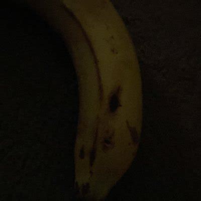 Sex Ual On Twitter Man Kind Https T Co