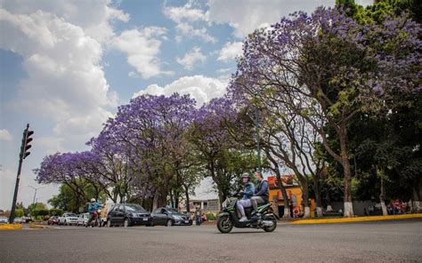 Qué clima va hacer hoy en Morelia El Sol de Morelia Noticias