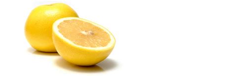 Orange Yellow Fruit