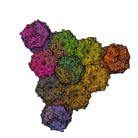 RCSB PDB 6N09 Cryo EM Structure Of The HO BMC Shell Subregion