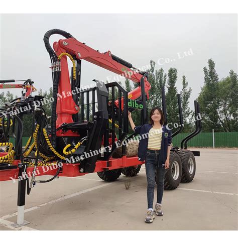 CE Approved Heavy Duty Hydraulic Forestry Timber Trailer With Crane
