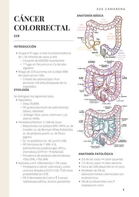 Resúmenes de Cáncer de colon Descarga apuntes de Cáncer de colon